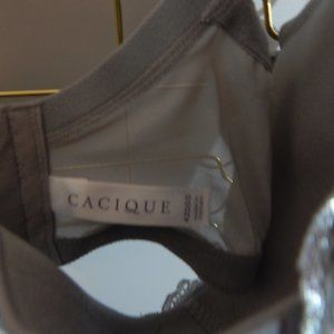 Cacique | Intimates & Sleepwear | Cacique Metallic Lace French ...